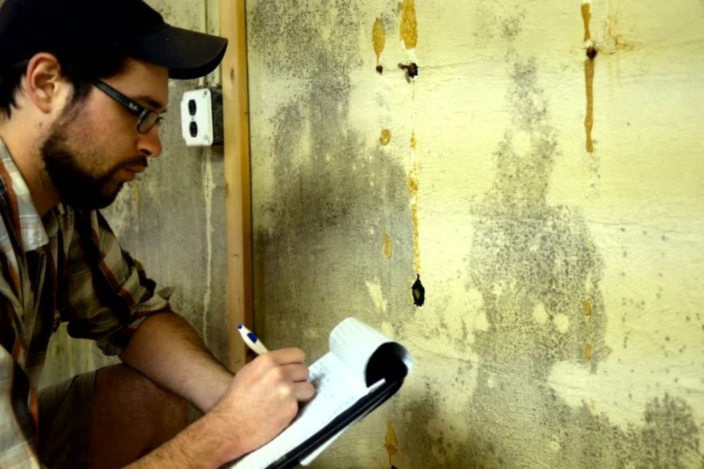 4 motivos que fazem a sua parede mofar! Saiba a solução certa - Almanaque