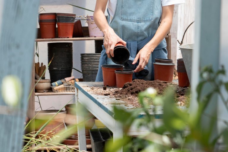 Os melhores adubos caseiros para manter suas plantas lindas e saudáveis