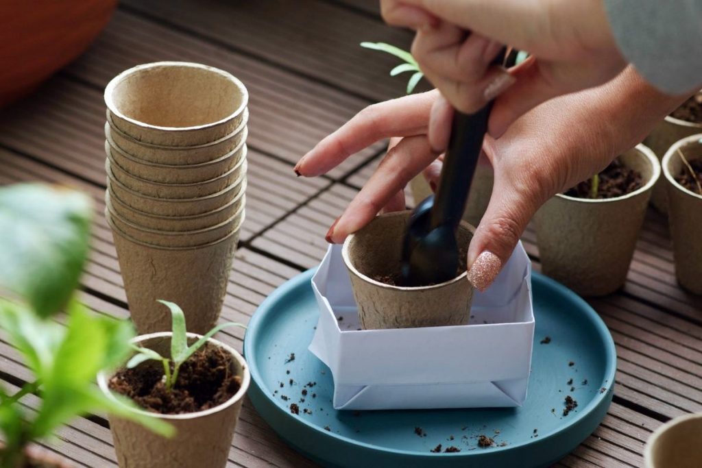 Saiba como preparar um poderoso adubo caseiro em pó