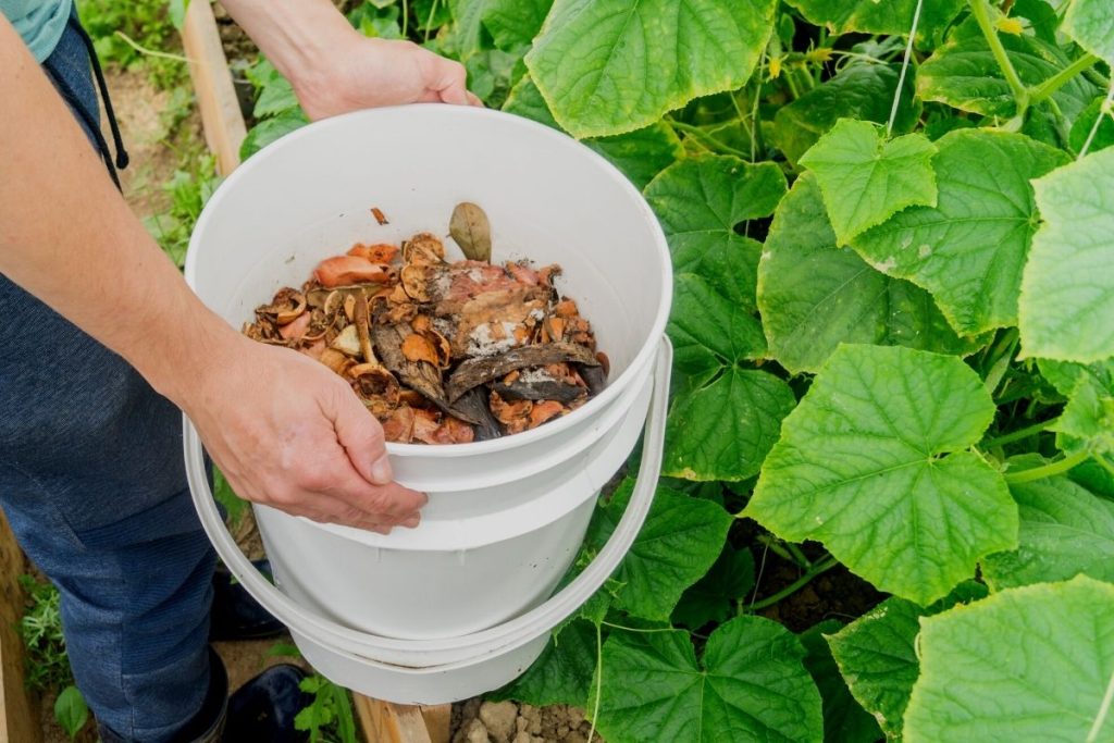 Saiba como fazer uma composteira caseira utilizando baldes