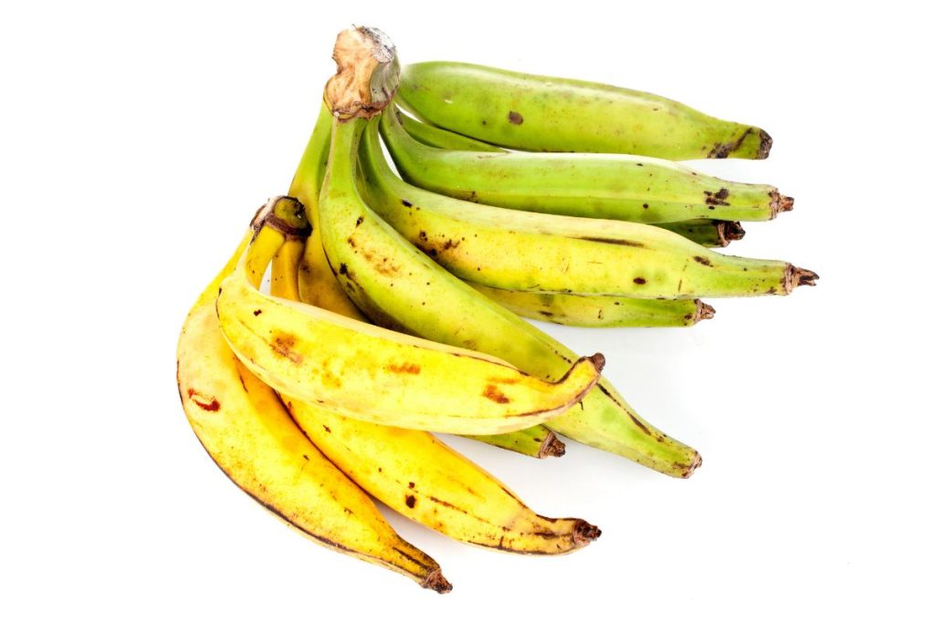 Saiba como escolher banana da terra boa para o consumo: veja os sinais ...