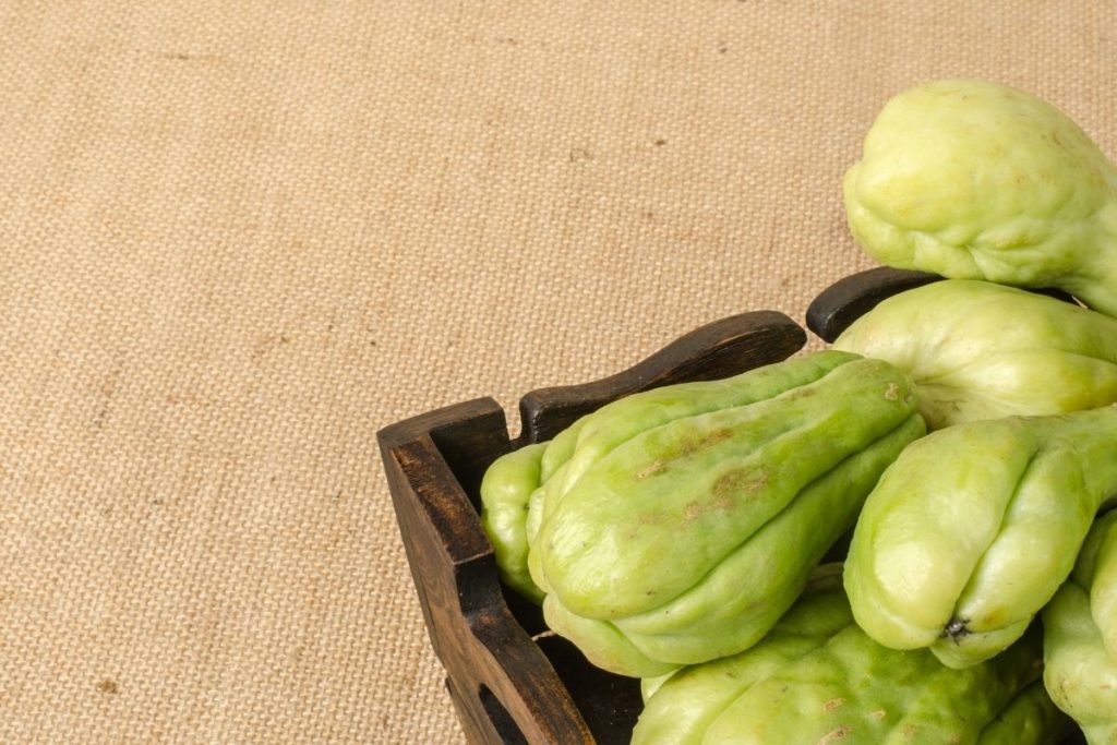 Como evitar que a cola do chuchu grude nas mãos? Confira truques