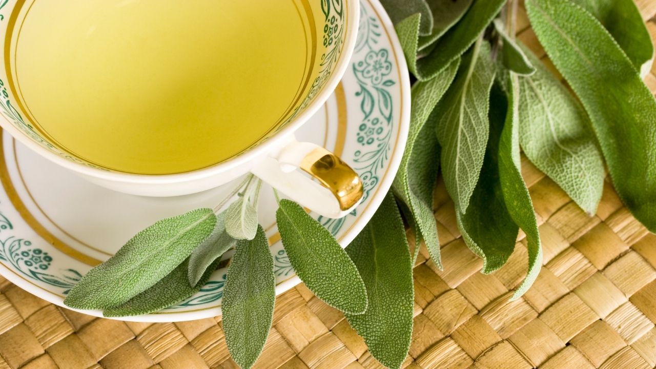 Como Fazer Chá De Sálvia - RETOEDU