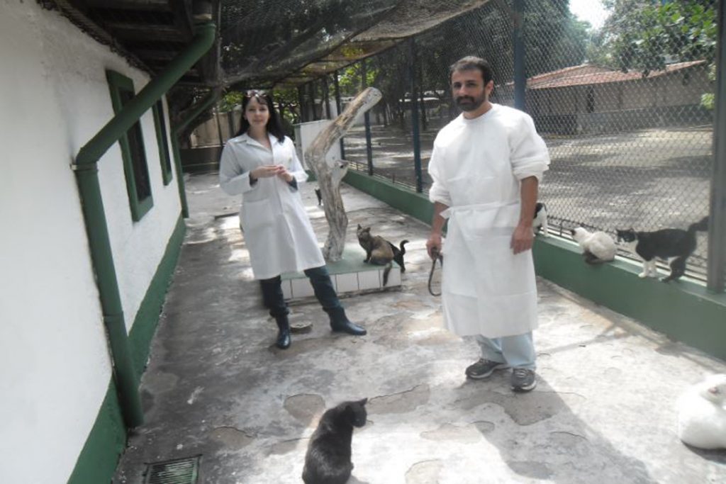 A Uipa é a ONG mais antiga do Brasil e busca apoio com doações de ração